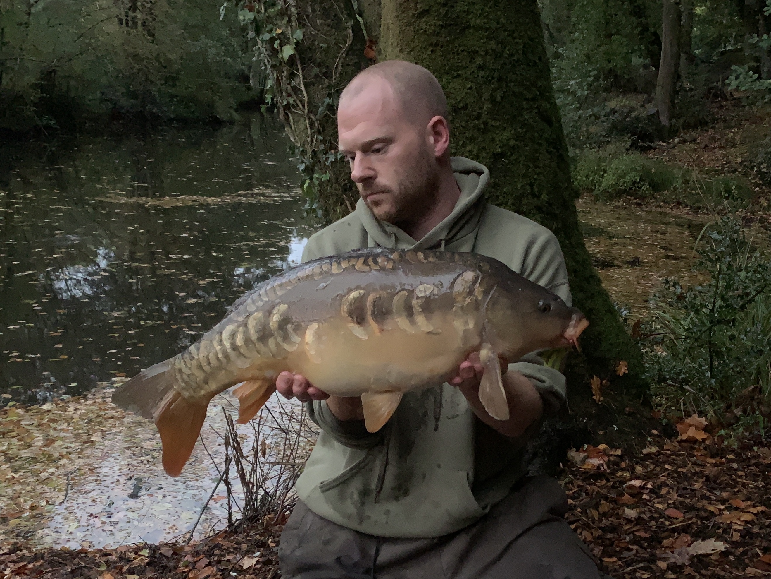 Apple slice scalely mirror | Total Carp